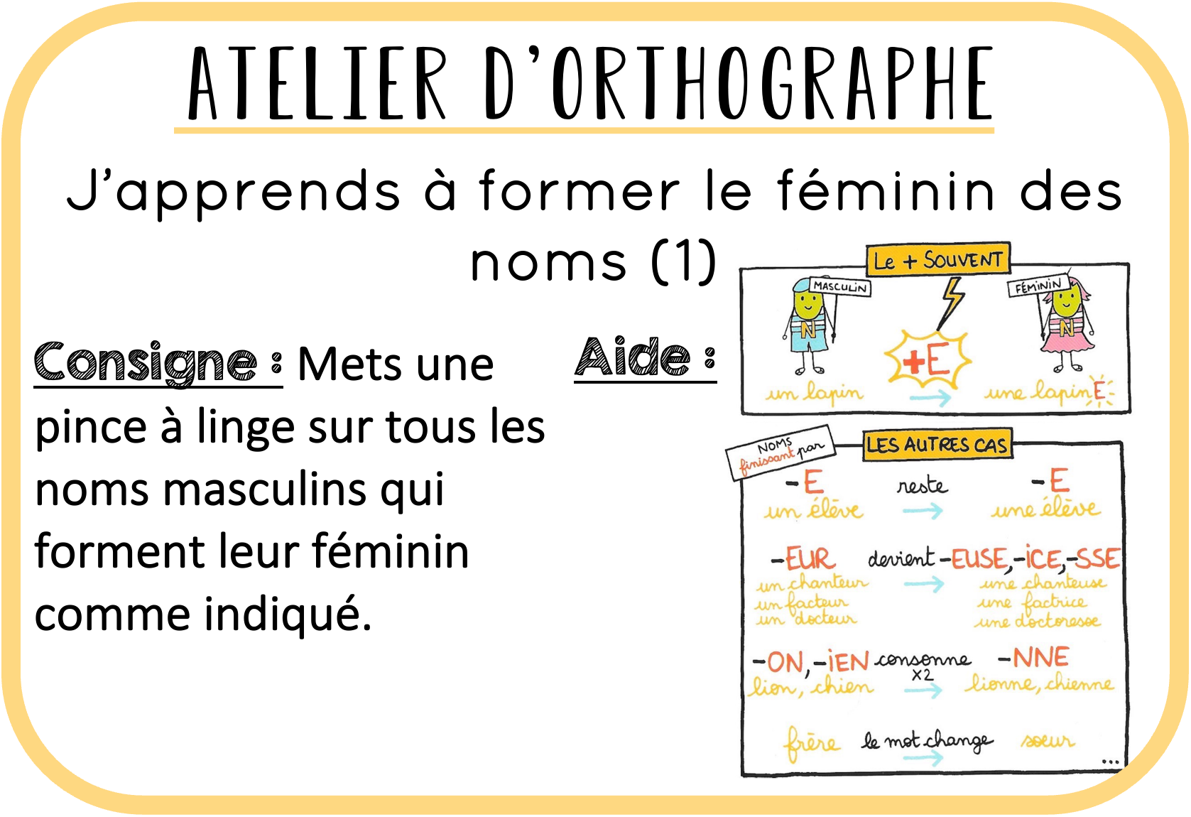 Ateliers autonomes – orthographe – le féminin et le pluriel des noms