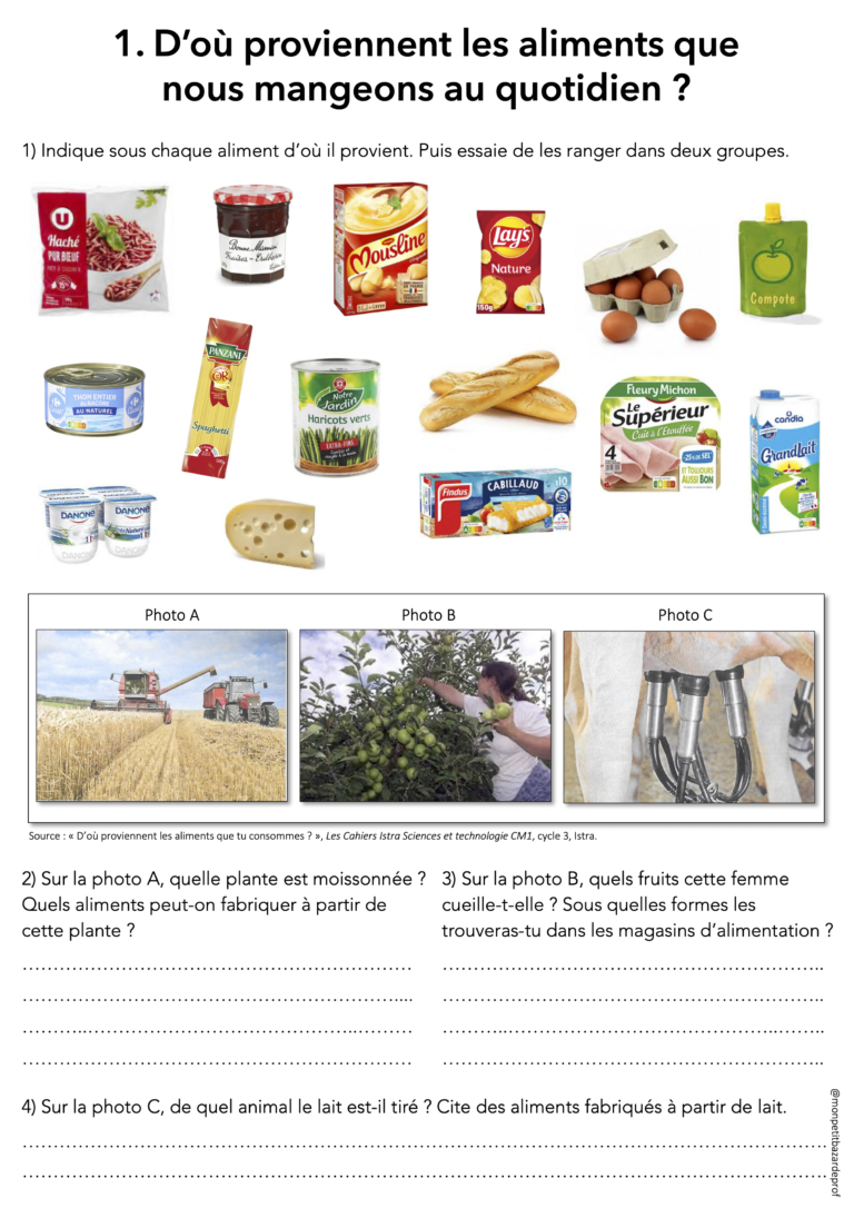 L’alimentation – Séquence et outils