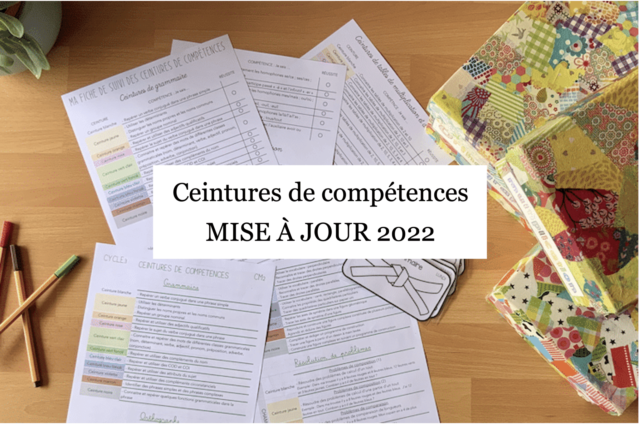 Ceintures de compétences : fonctionnement